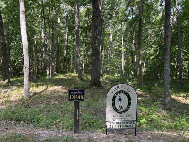 Dr 48 Delafield 48 Rd E Lot Dr, Hot Springs, VA 24445
