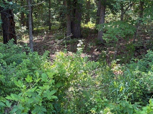 Drayton Cir Lot 4, Bella Vista, AR 72715