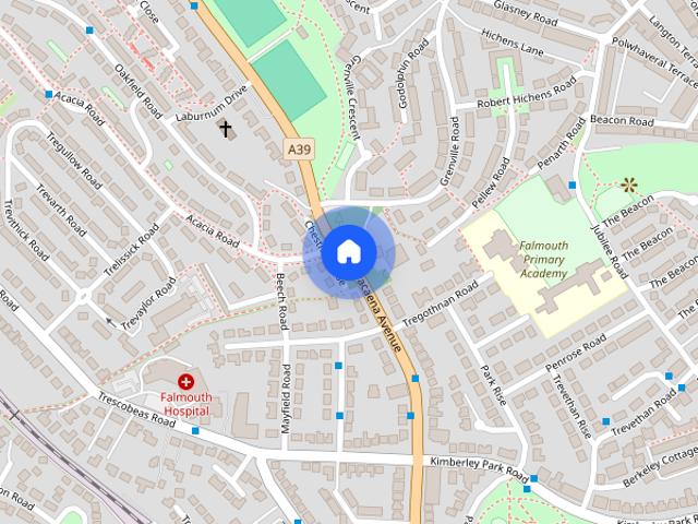 Dracaena Avenue, Falmouth, TR11