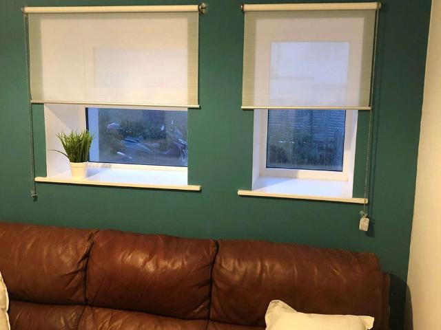 Dracaena Avenue Room 1