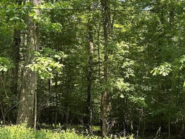 Drake Well Rd, Titusville, PA 16354