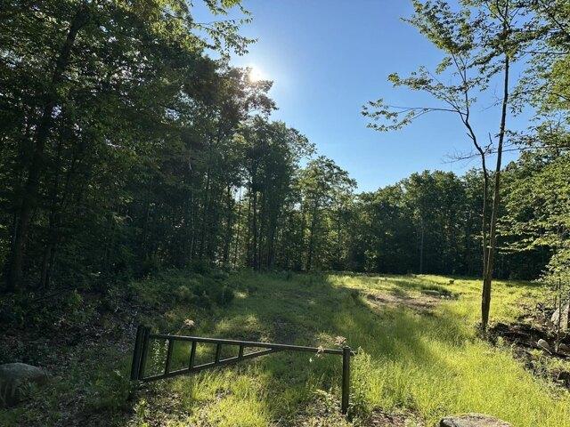 Drake Hill Rd, Strafford, Plot For Sale