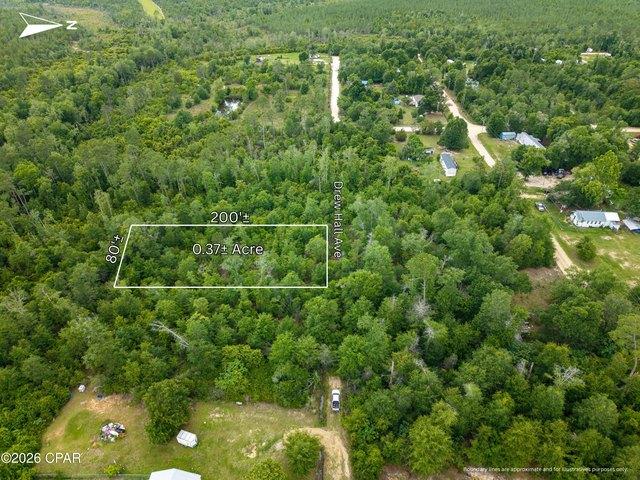 Drew Hall Lot 9 10, Altha, FL 32421