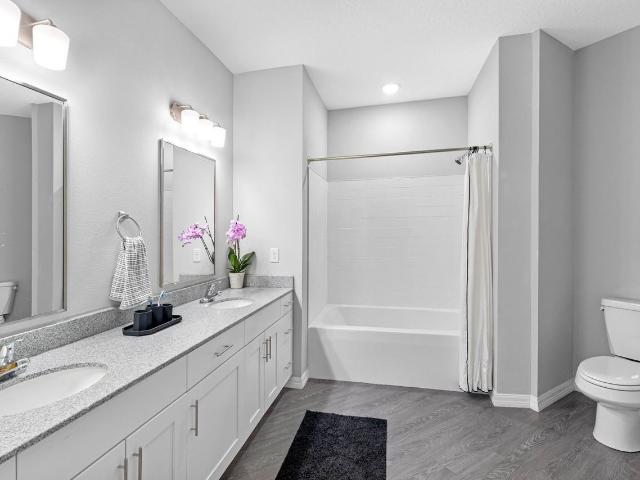 Dream Kissimmee 1 Bedroom Apartment for Rent at 4567 Seven Dwarfs Ln, Kissimmee, FL 34746