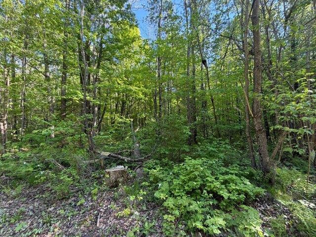 Dream Lake Rd Lot 7, Long Lake, WI 54542