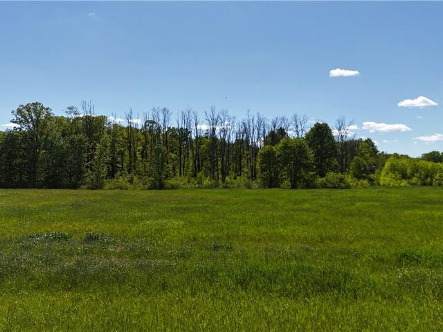 Dredge Ditch Road