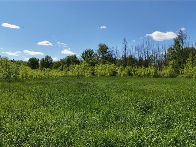 Dredge Ditch Rd, Conewango Valley, NY 14726