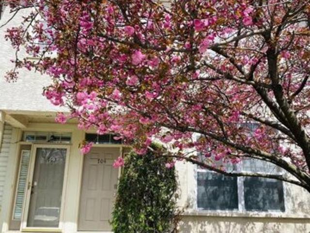 Dresher Woods Dr, Dresher, Condo For Sale