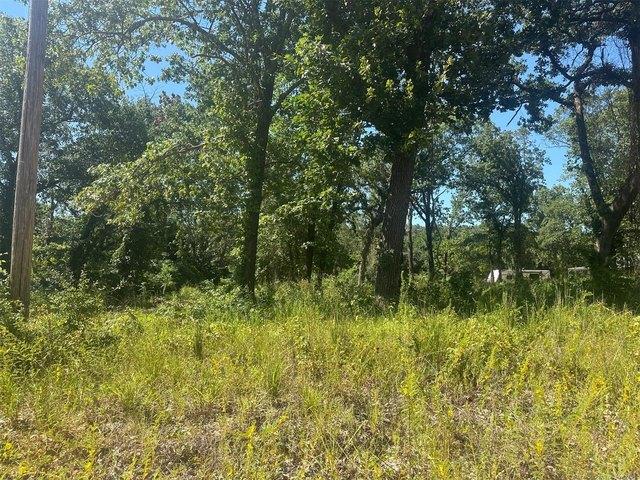 Driftwood Rd, Kingston, OK 73439