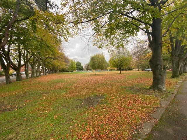 Drummond Road