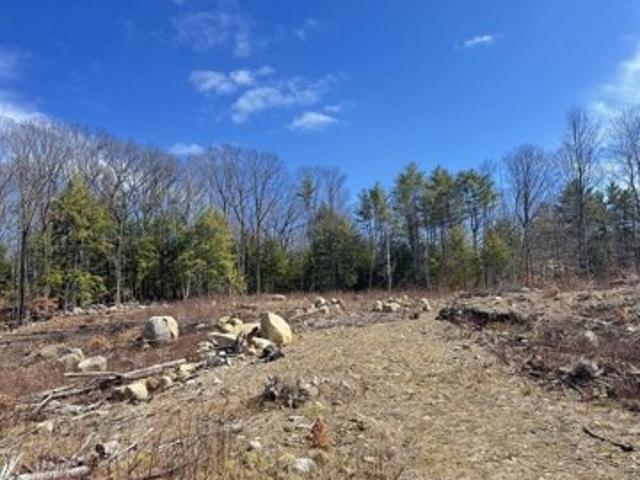 Drummer Rd, Keene, Plot For Sale