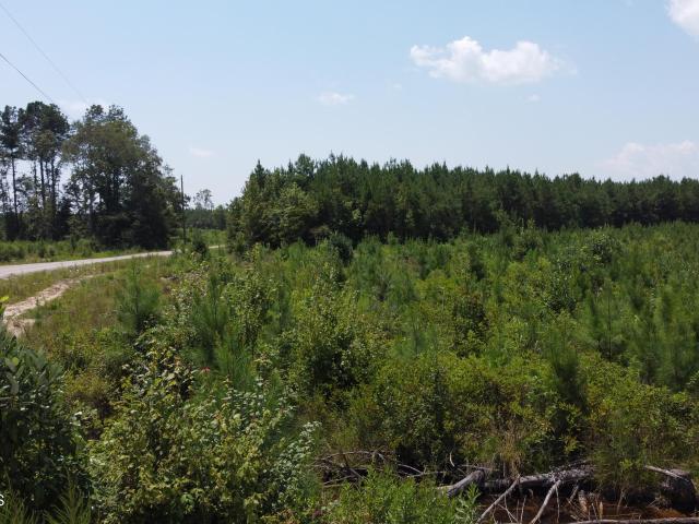 Dry Branch Road, Lot A, Steens, MS 39766