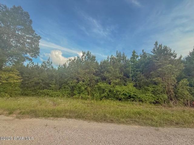 Dry Branch, 17 Acres, Steens, MS 39766