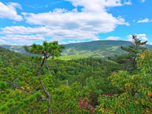 Dry Gulch Rd Lot 0, Wytheville, VA 24382