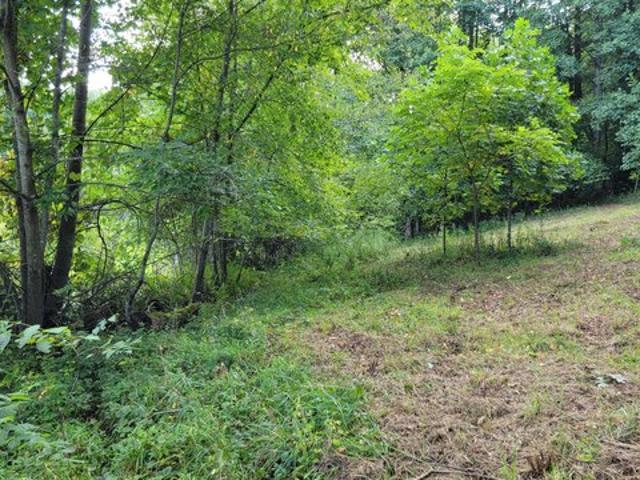 Dry Stone Branch Rd, Mountain City, TN 37683