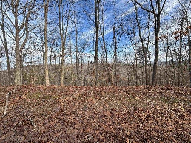 Dry Rdg, Louisa, KY 41230