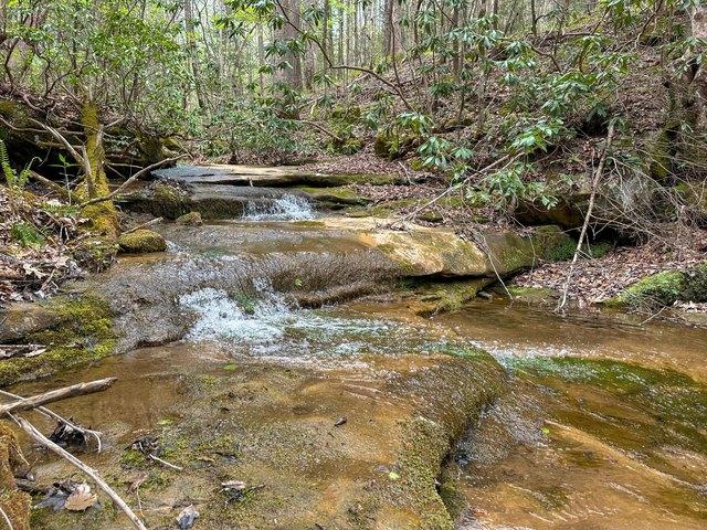 Dryfork Rd, Helton, KY 40840