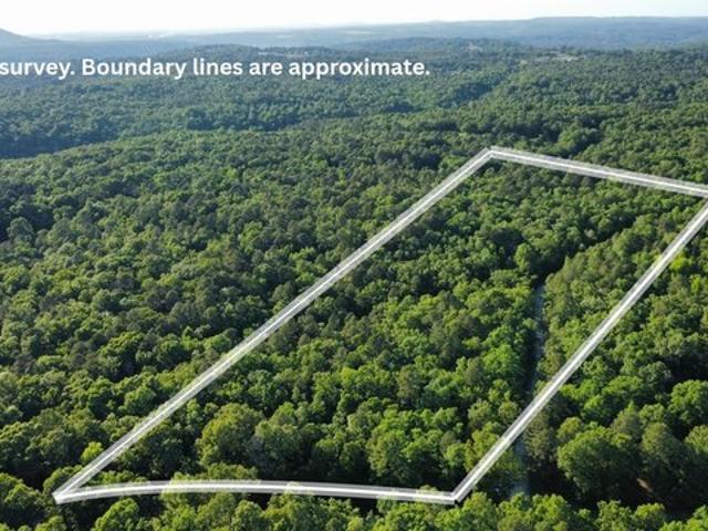 Dwelle Rd, Norfork, AR 72658