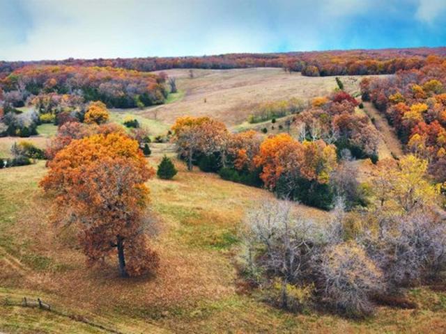 Dwyer Rd Lot TRACT1, Warsaw, MO 65355