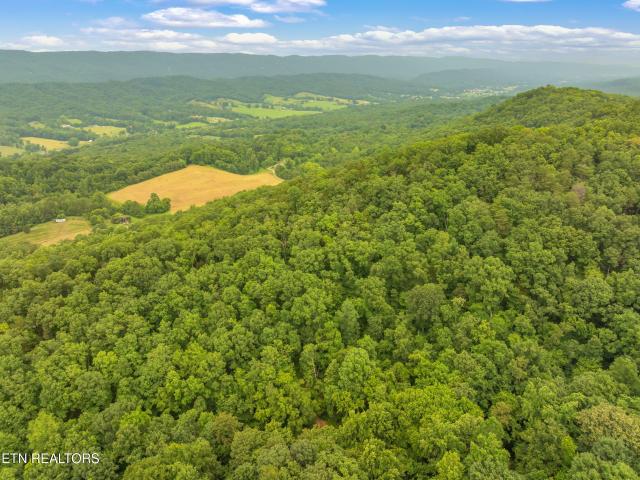 Dunville Gap Rd, Rutledge, TN 37861