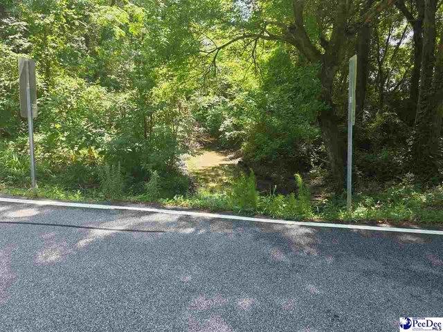Dunbar Hwy, Blenheim, SC 29516