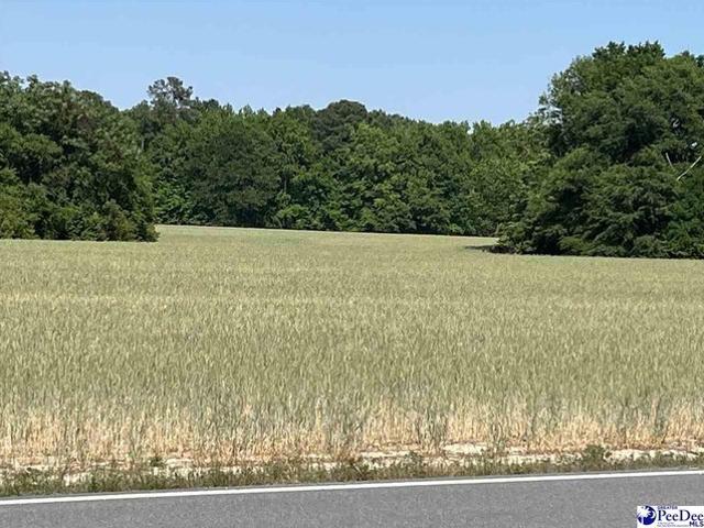 Dunbar Hwy, Blenheim, SC 29516