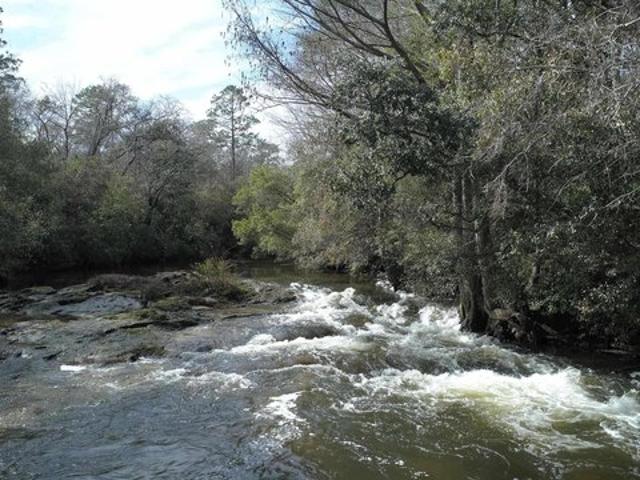 Dunbar Rd Parcel D, Robertsdale, AL 36567