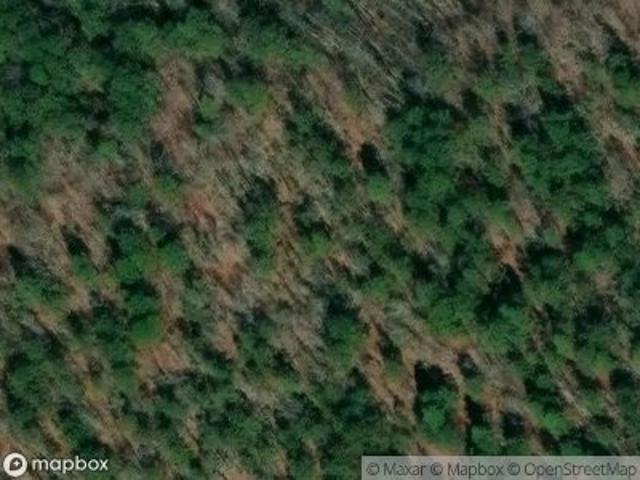 Duncan Creek Rd