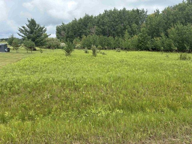 Dundee Lot 31, Gladwin, MI 48624