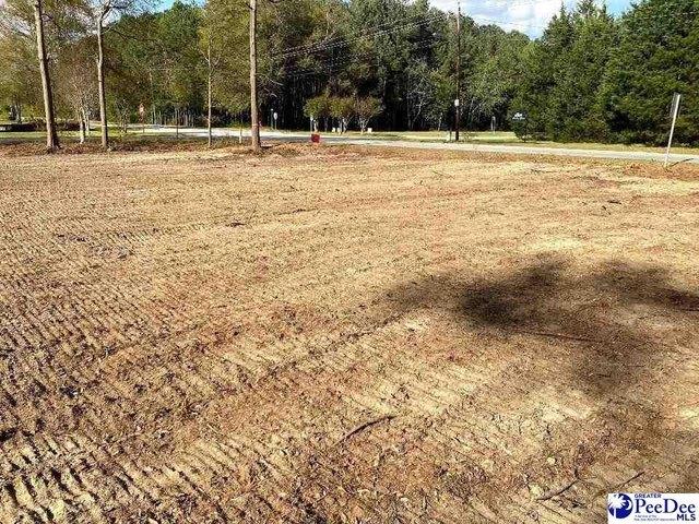Dunlap Dr, Hartsville, SC 29550