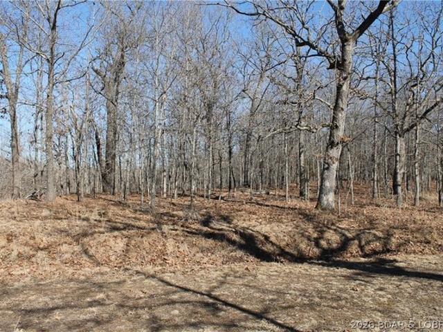 Dunn Dr Unit 1342, Edwards, MO 65326