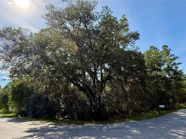 Dunnellon, FL 34431
