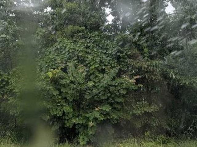 Duns Ln Lot 6, Bella Vista, AR 72715