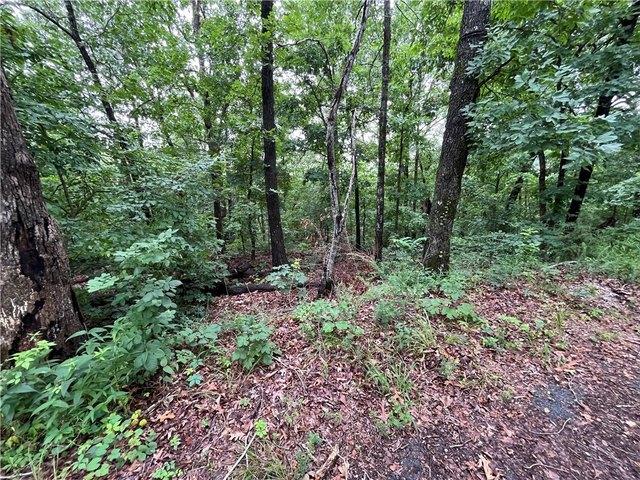 Dunstable Dr Lot 3, Bella Vista, AR 72714