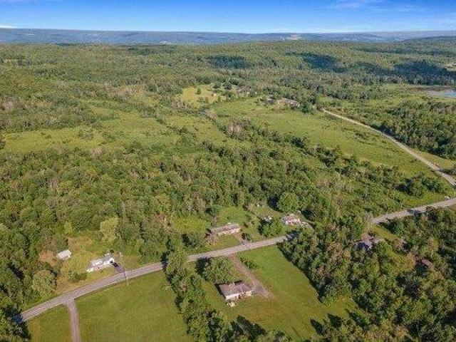 Duanesburg NY 12053 LS89083202