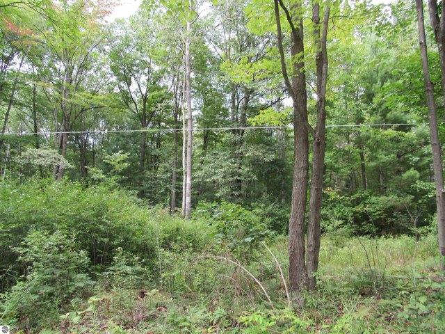 Duby Rd Parcel C5, Tawas City, MI 48763