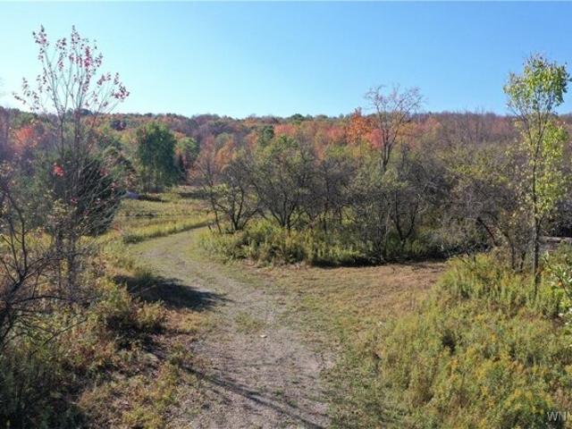 Dublin Rd, Salamanca, Plot For Sale