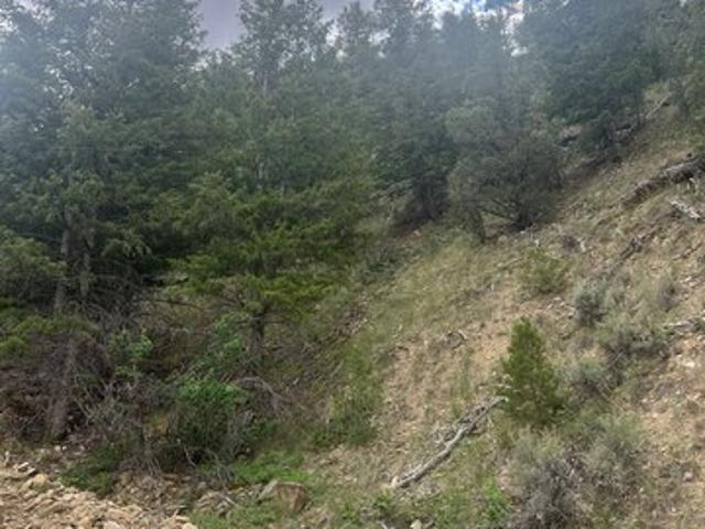 Duchesne, UT 84021