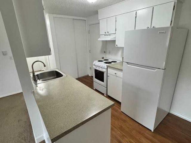 Duchess Apartments 1 Bedroom Apartment for Rent at 718 State Ave N, Kent, WA 98031 Mill Creek