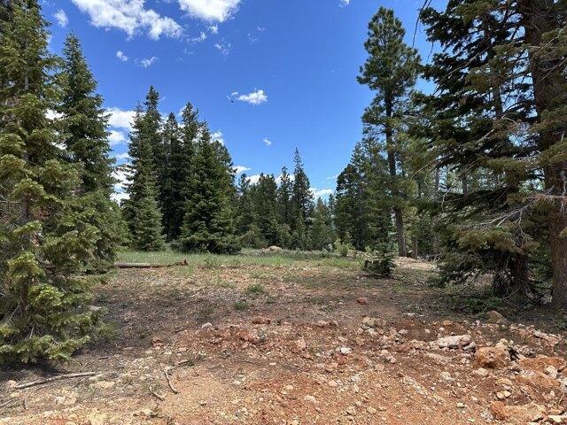 Duck Creek Village UT 84762 89041177
