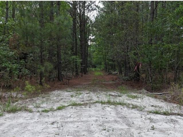 Duck Pond Rd, Sylvania, GA 30467