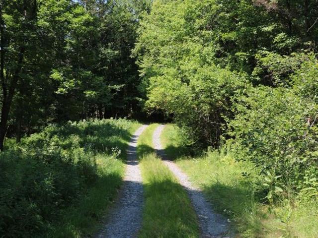 Duck Pond Rd, Waterford, Plot For Sale
