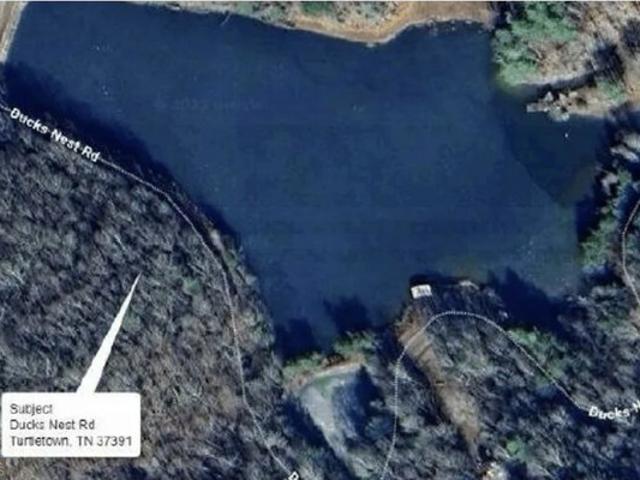 Ducks Nest Rd, Turtletown, TN 37391