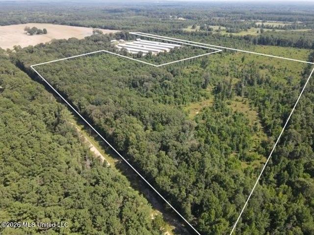 Duckworth Rd, Sontag, MS 39665