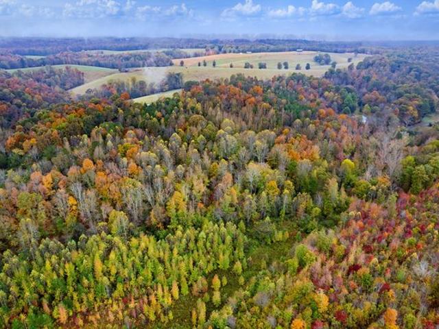 Ducktown Rd, Iron City, TN 38463