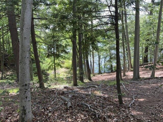 Dudley Rd, Wayland, Plot For Sale