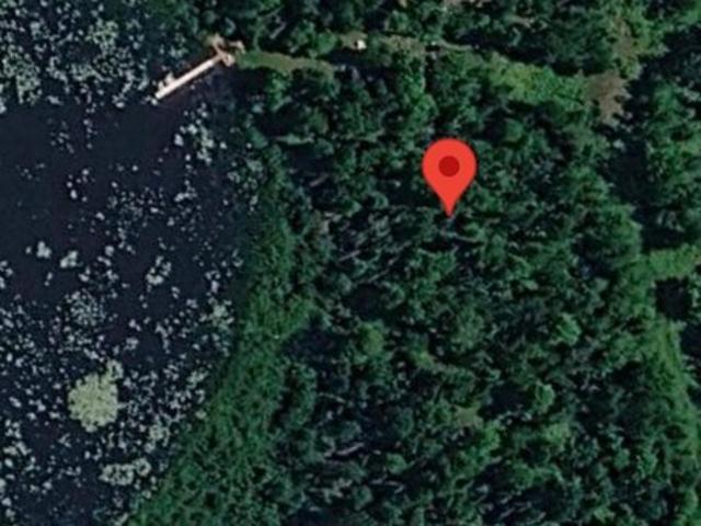 Duffy Is, Tower, MN 55790