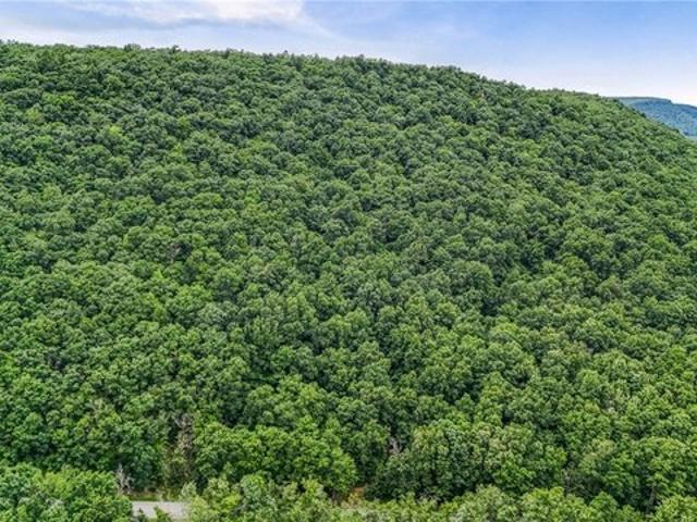 Dug Rd, Naples, NY 14512