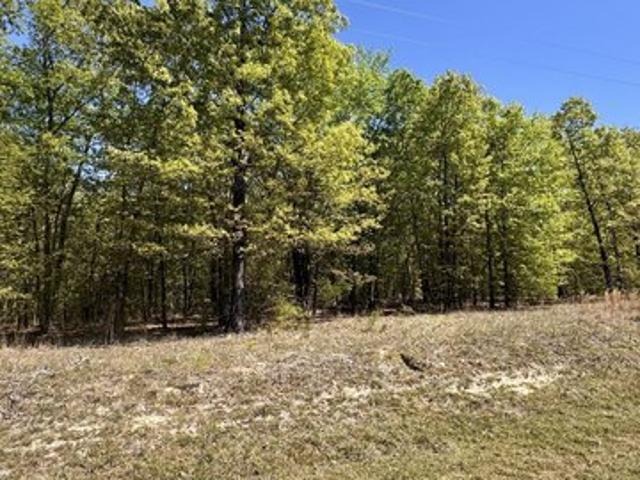 Dukes Rd, Wadley, GA 30477