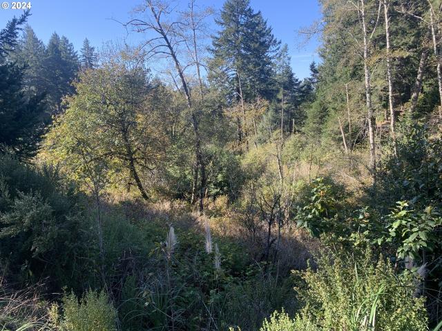 Duley Creek, Unit 501/503, Brookings, OR 97415 | MLS #24211